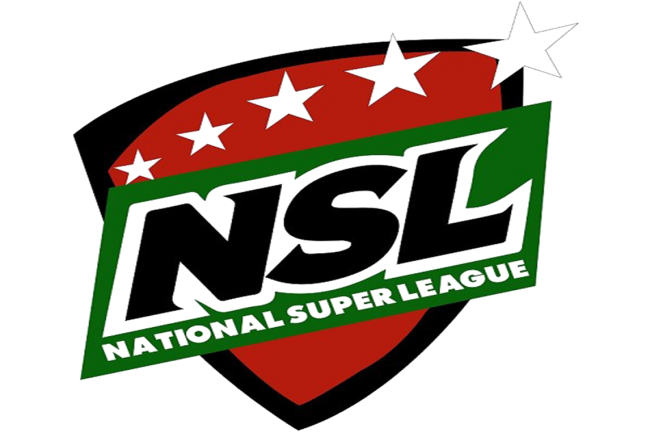 Nsdl Logo